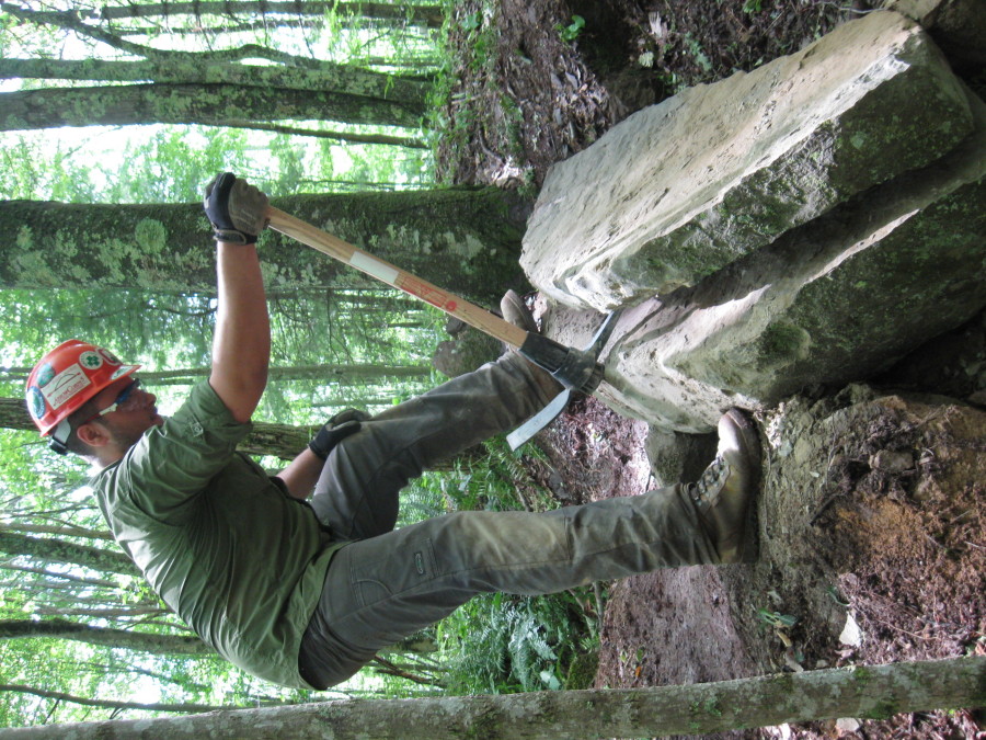 Arborwear Original Tree Climbers' Pant - Men's | Backcountry.com