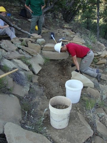 Arborwear Original Tree Climbers' Pant - Men's | Backcountry.com