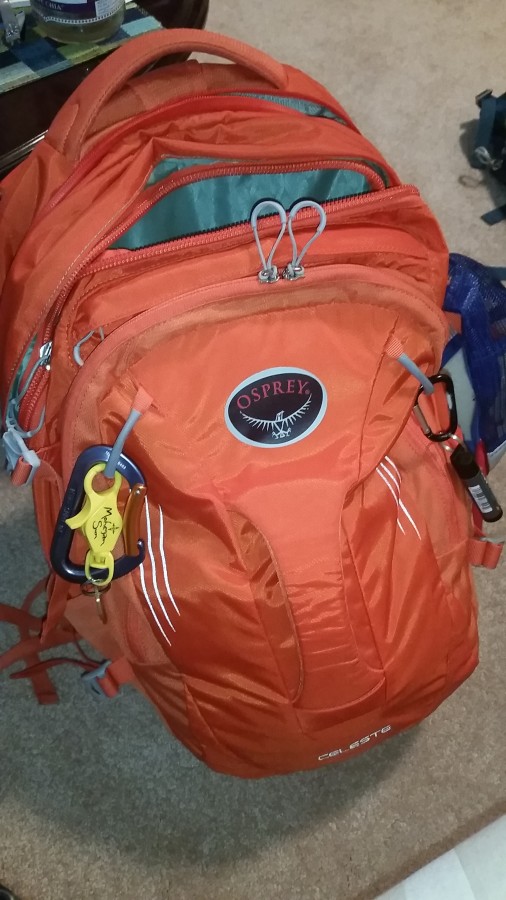 Osprey Packs Celeste 29L Backpack - Women's | Backcountry.com