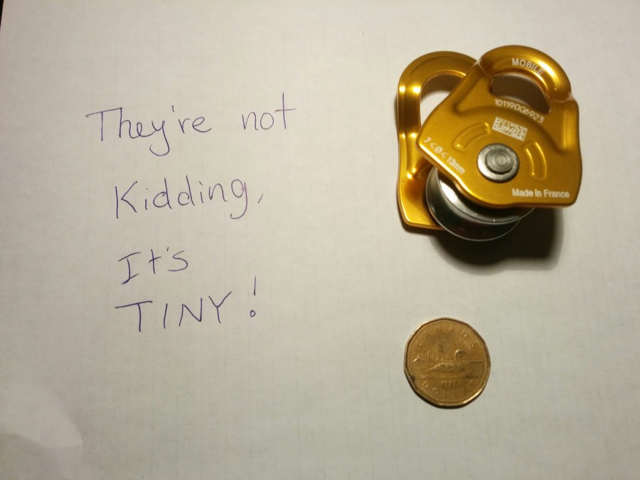 Petzl Mini Prusik Minding Pulley | Backcountry.com