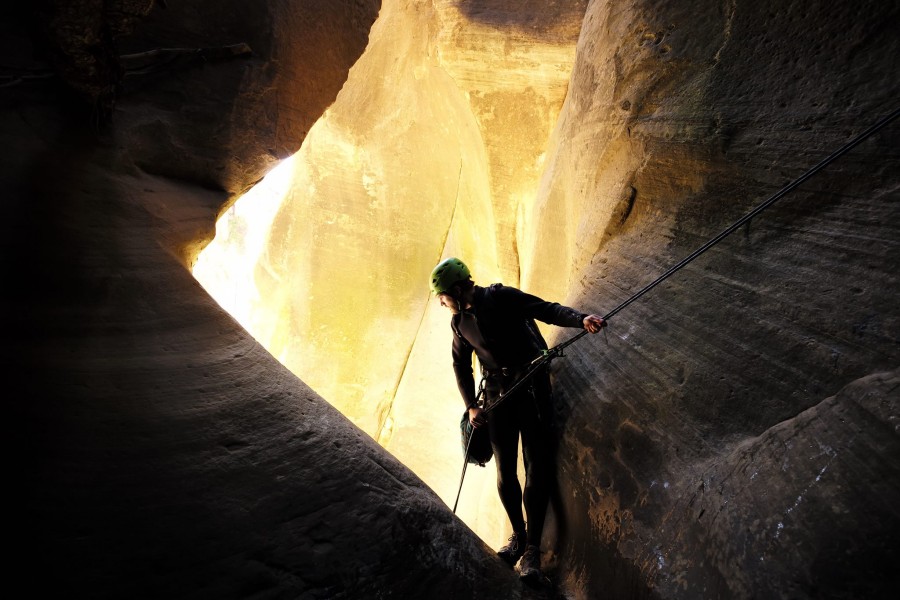 Sterling ATS Belay and Rappel Device | Backcountry.com