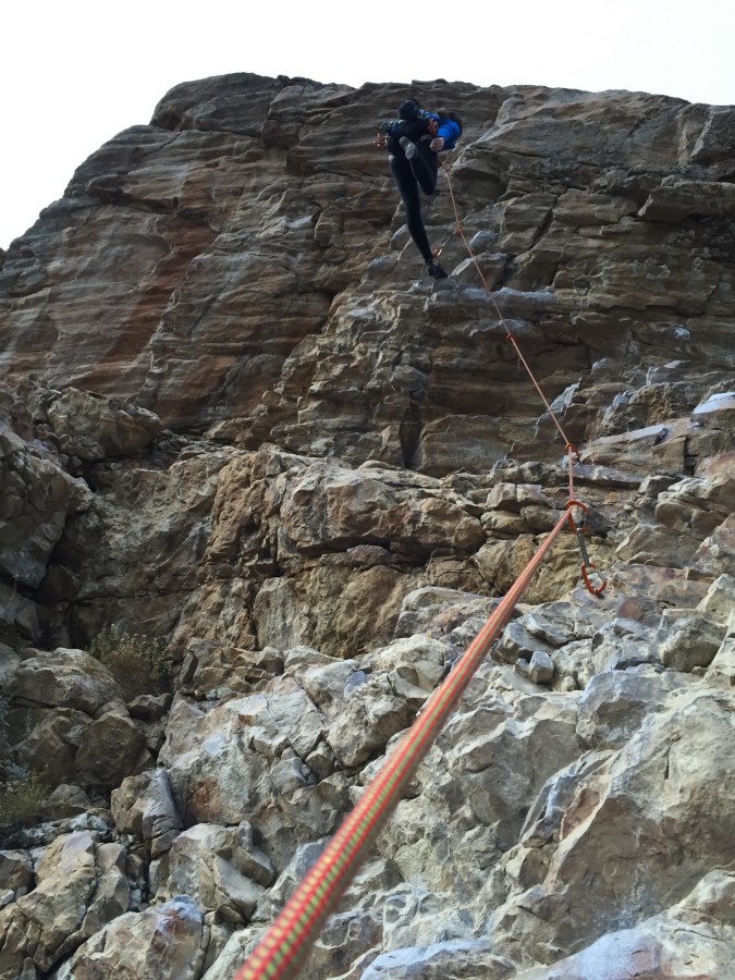 Edelweiss Energy ARC 9.5mm EverDry Climbing Rope | Backcountry.com