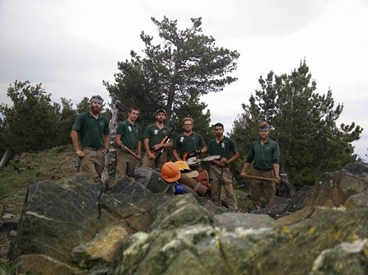 Arborwear Original Tree Climbers' Pant - Men's | Backcountry.com