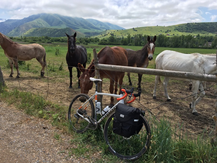 Blackburn Outpost Front World Touring Rack | Backcountry.com