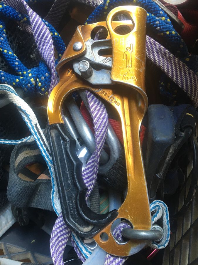 Petzl Ascension Handled Ascender | Backcountry.com