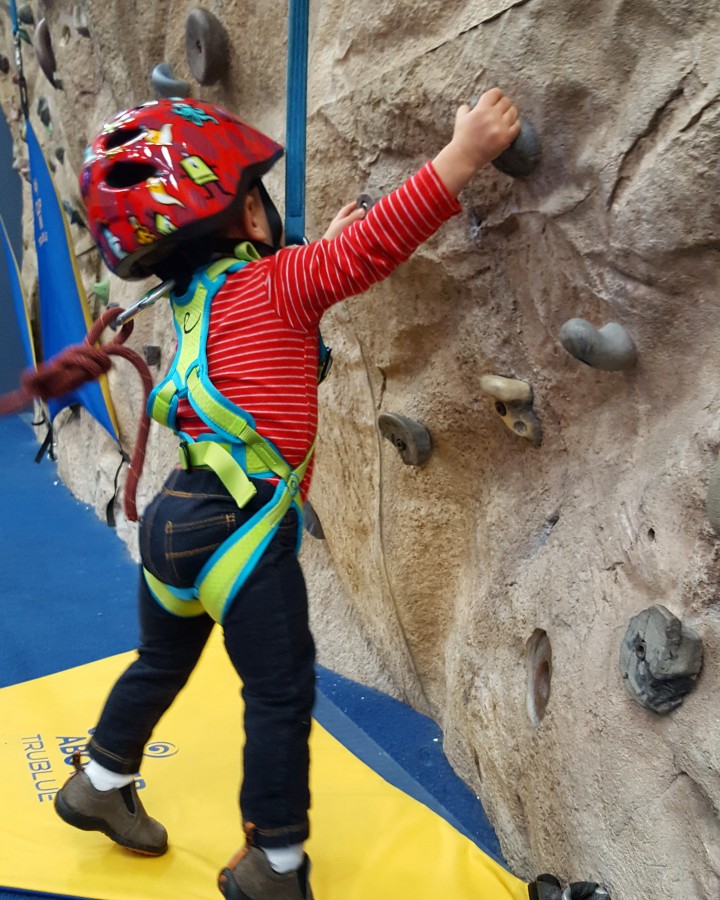 Edelrid Fraggle II Full Body Harness - Kids' | Backcountry.com