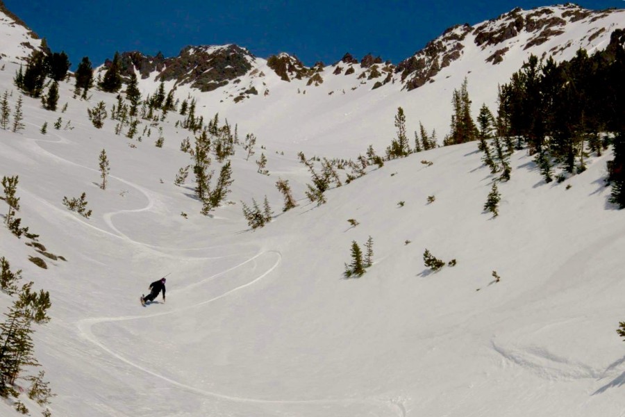 Scarpa NTN Freeride Binding | Backcountry.com