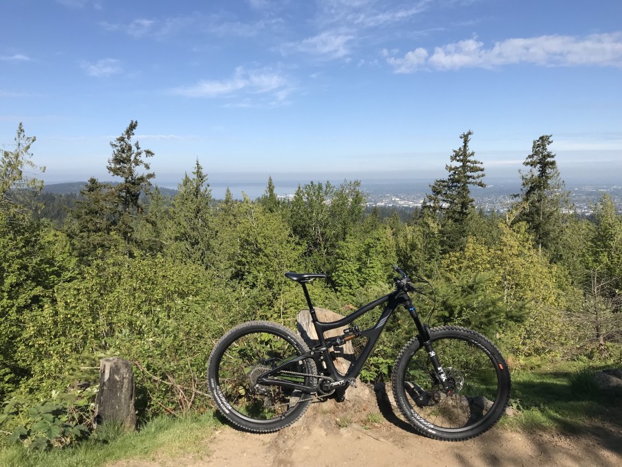 Ibis Ripmo Mountain Bike Frame - 2019 | Backcountry.com