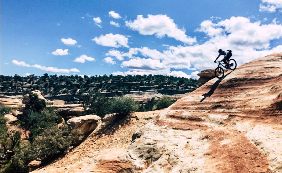 Shimano XT SM-RT86 Rotor - 6-Bolt | Competitive Cyclist