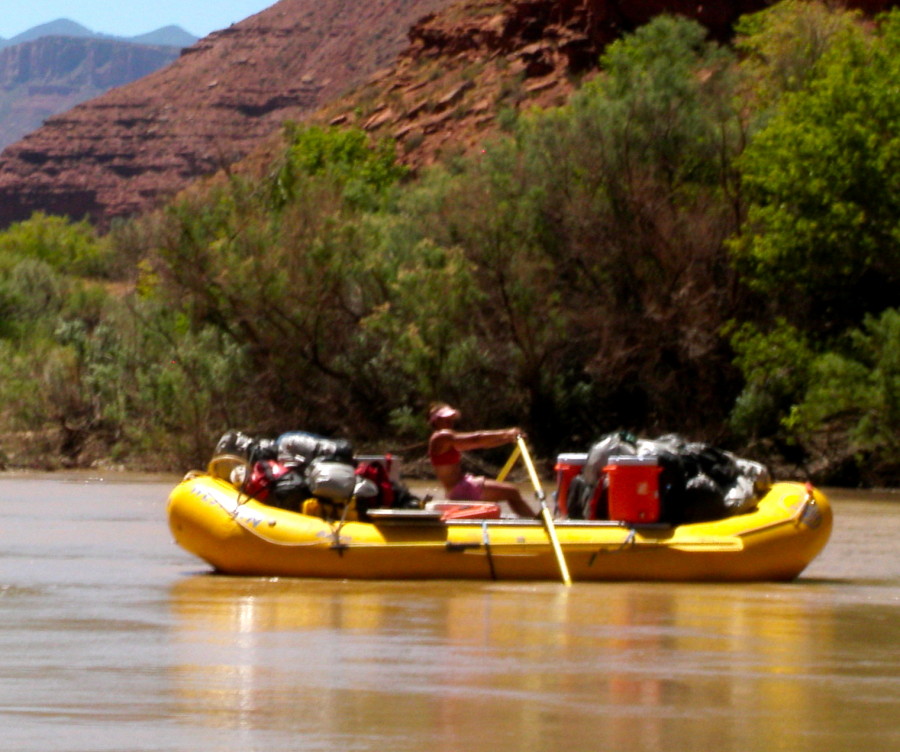 Carlisle Paddles Extra Heavy Duty Raft Oar Shaft | Backcountry.com