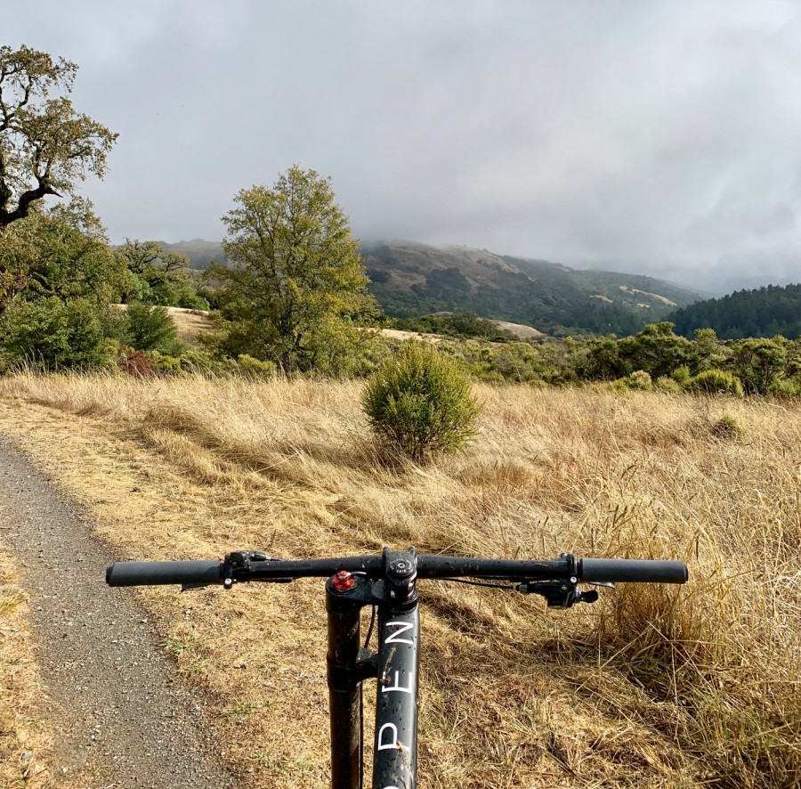 Syntace FlatForce Stem | Competitive Cyclist