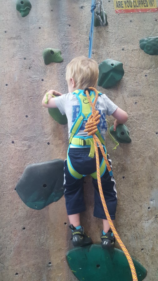 Edelrid Fraggle II Full Body Harness - Kids' | Backcountry.com
