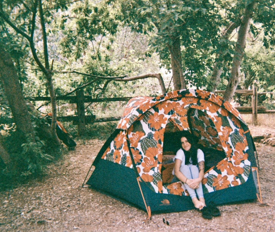 The North Face Homestead Domey 3 Tent: 3-Person 3-Season | Backcountry.com